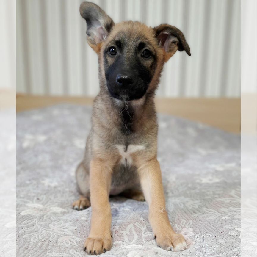 Заберите меня домой