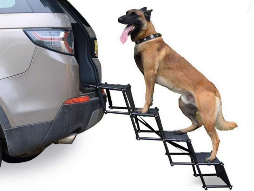Лестница пандус для собак