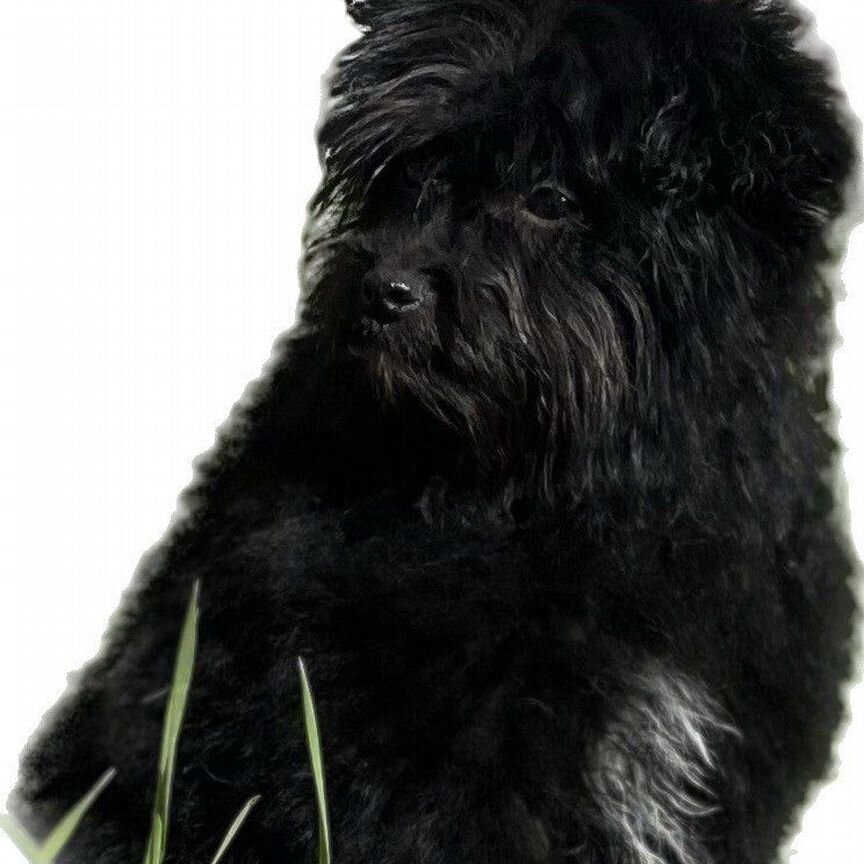 Прекрасный мальчик