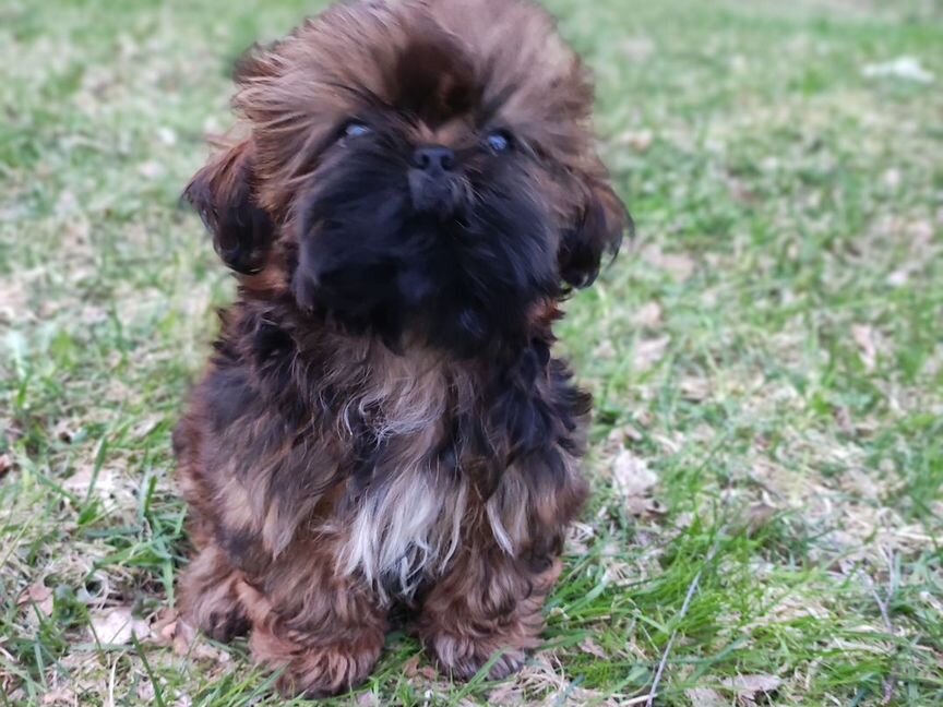 Мини мальчик