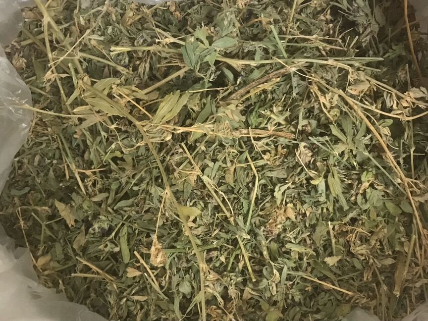 Сено натуральное луговое