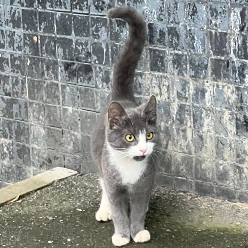 Погибают два братика на улице