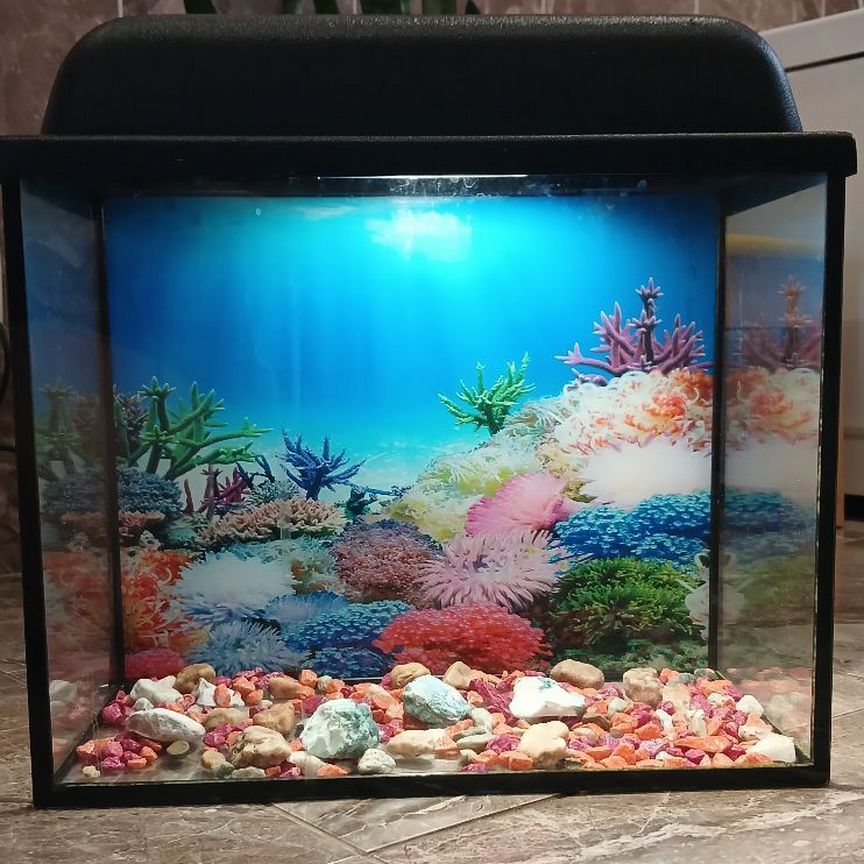 Аквариум 20 литров