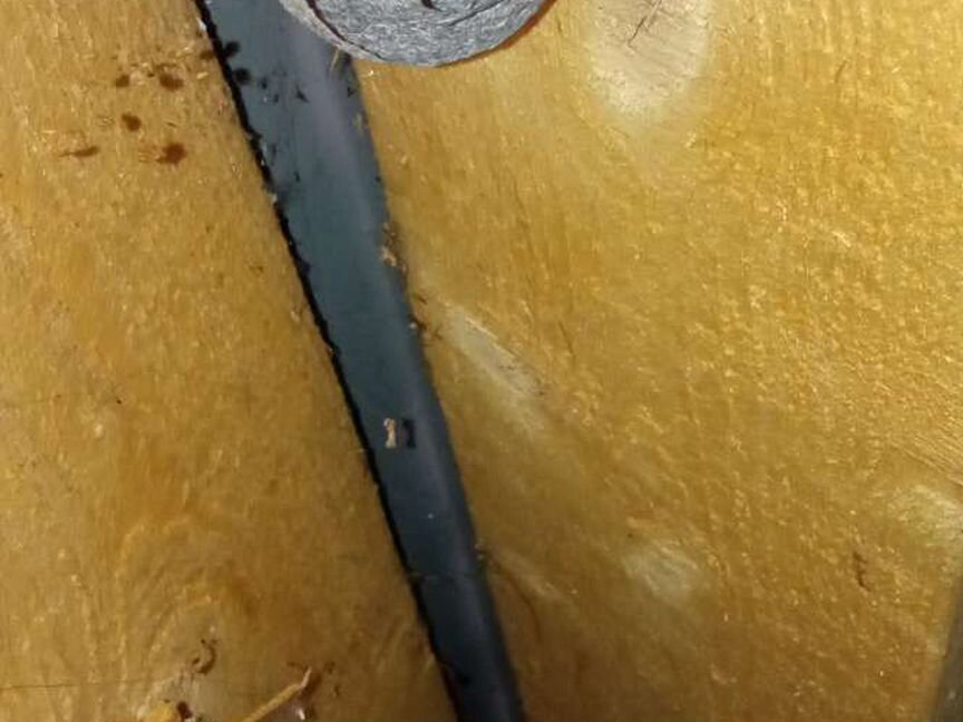 Осинное гнезда