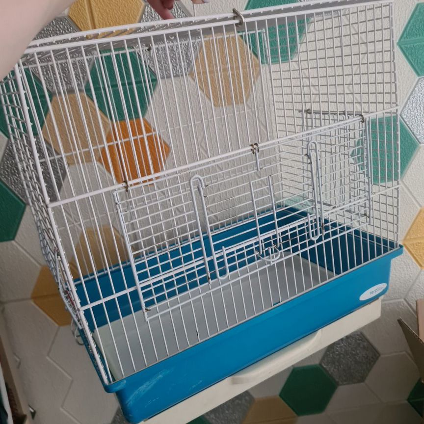 Клетка
