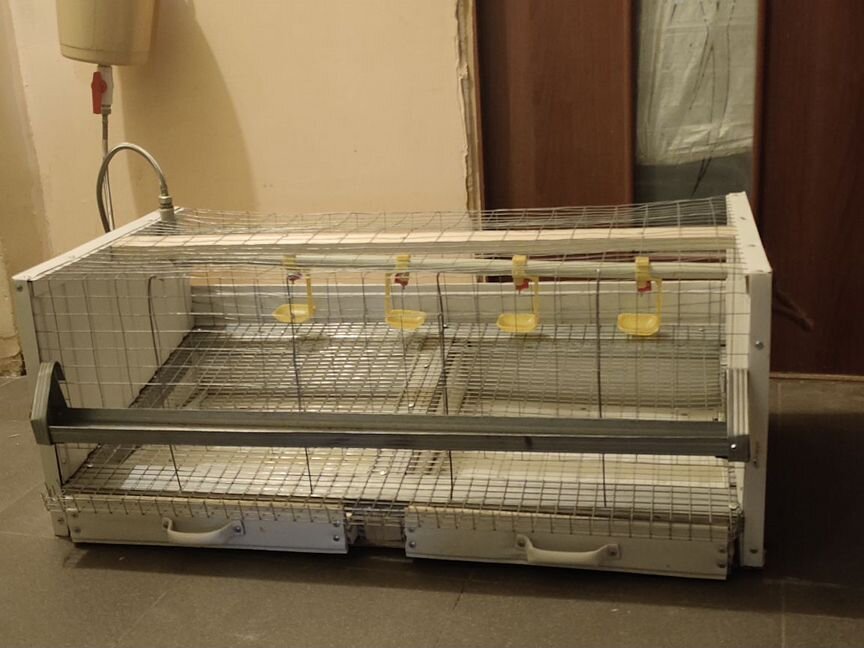 Клетка для перепелов, несушек, бройлеров. Брудер