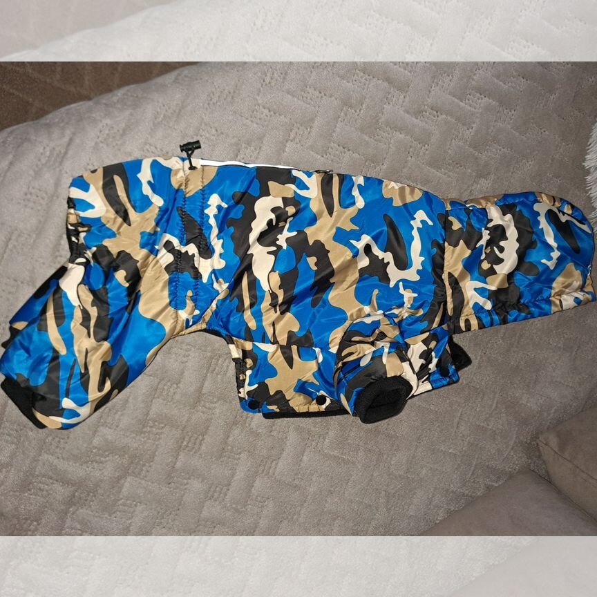 Одежда для собак