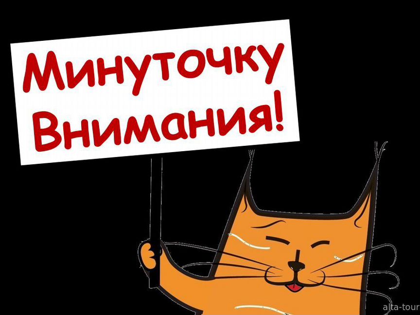 Рыженькие красавицы