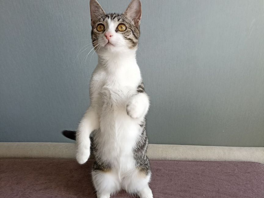 До чего же славная