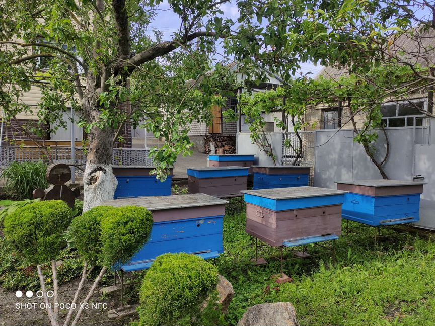 Улей для пчел