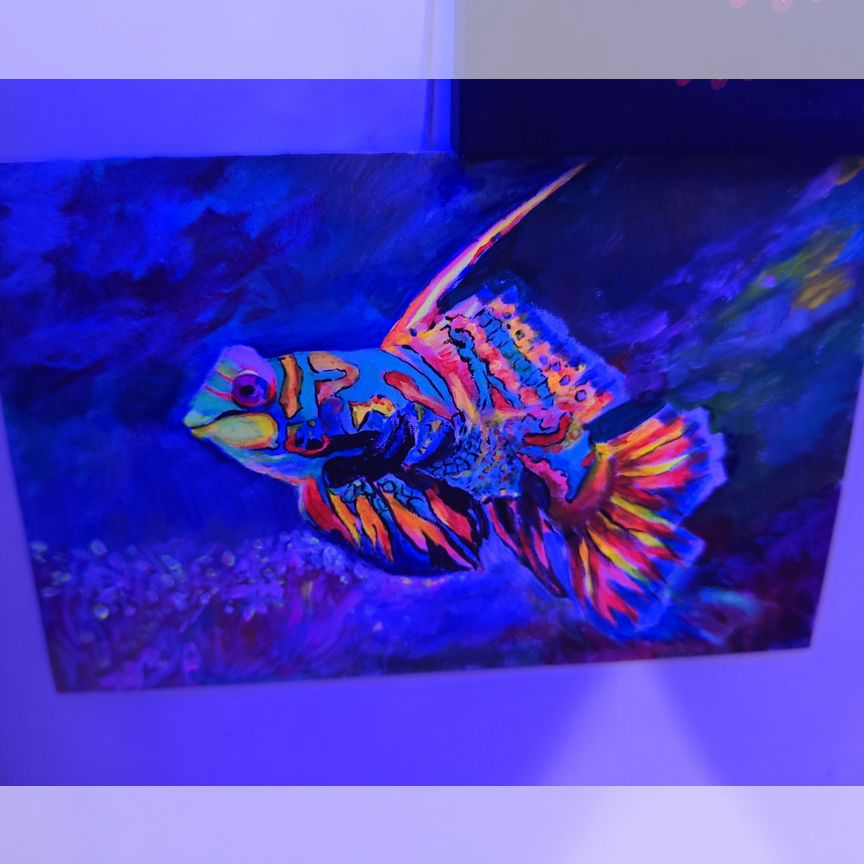 Морские Рыбы Картины