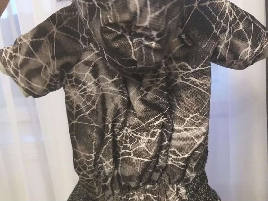 Одежда для животных