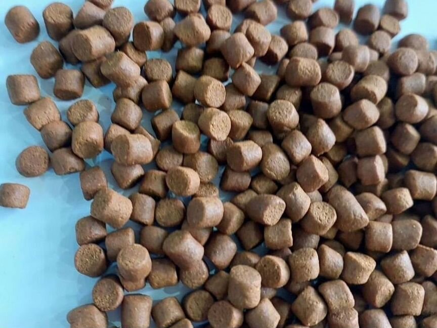 Корм для карпа