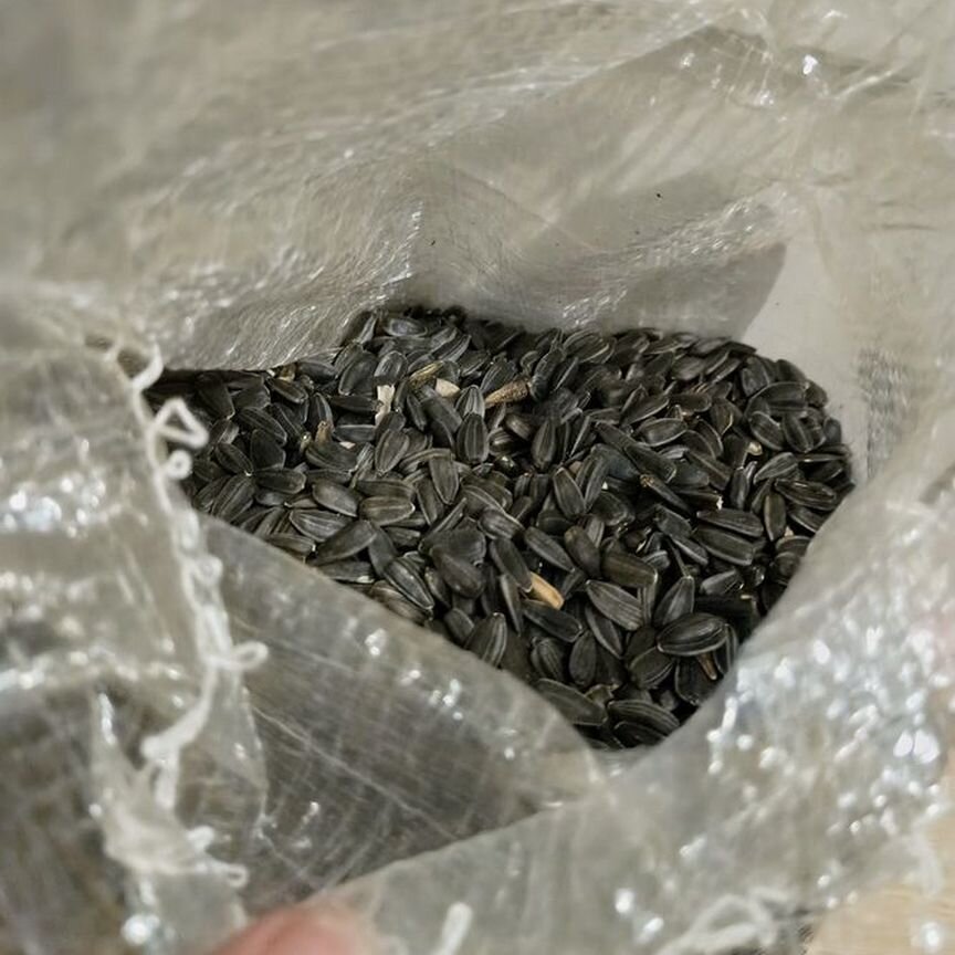 Семечки для птиц, 2,5 кг