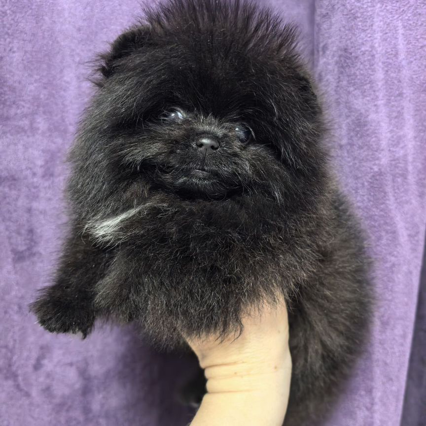 Микро девочка