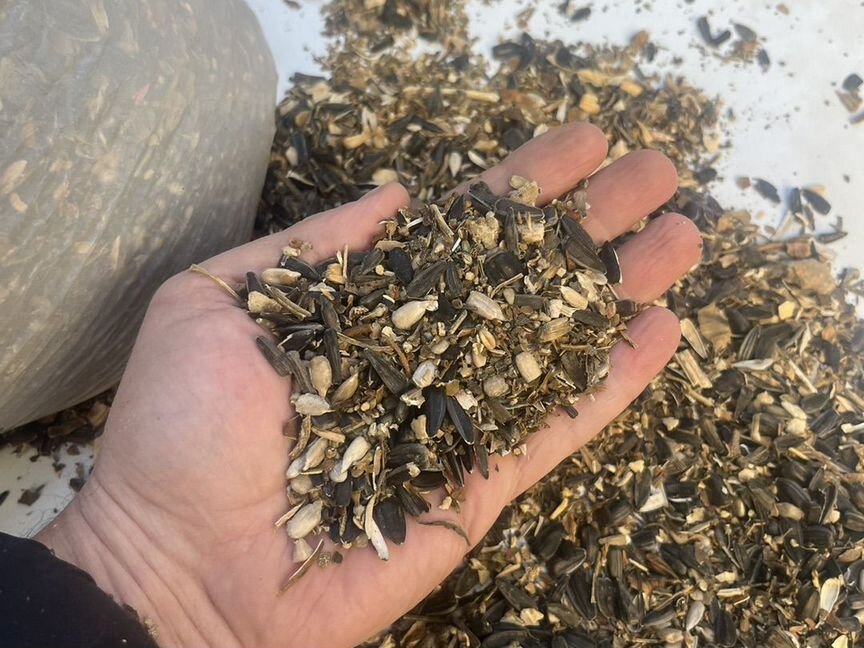 Отходы семечки