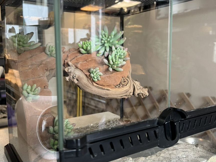 Террариум Nomoy pet 30x30x30