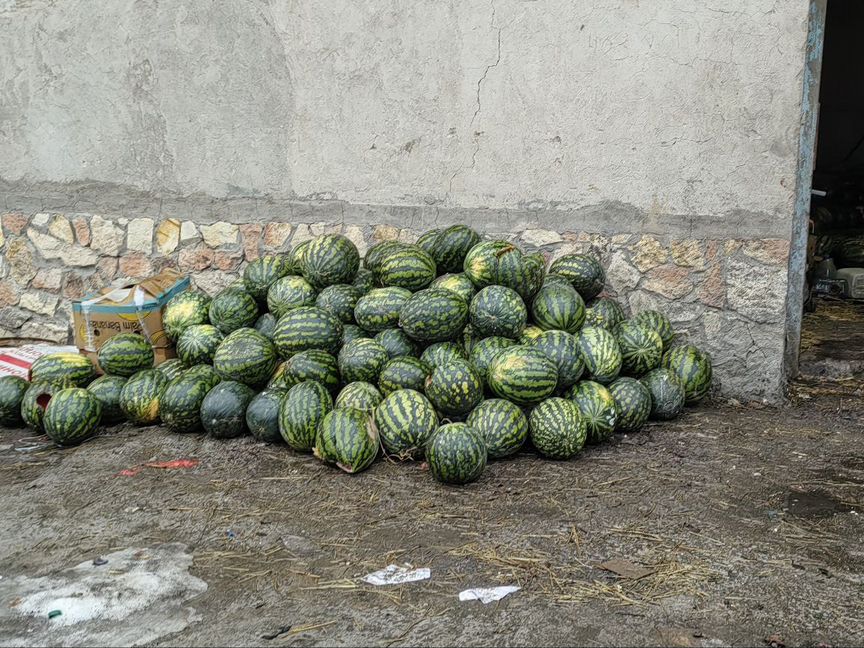 Пищевые отходы для животных