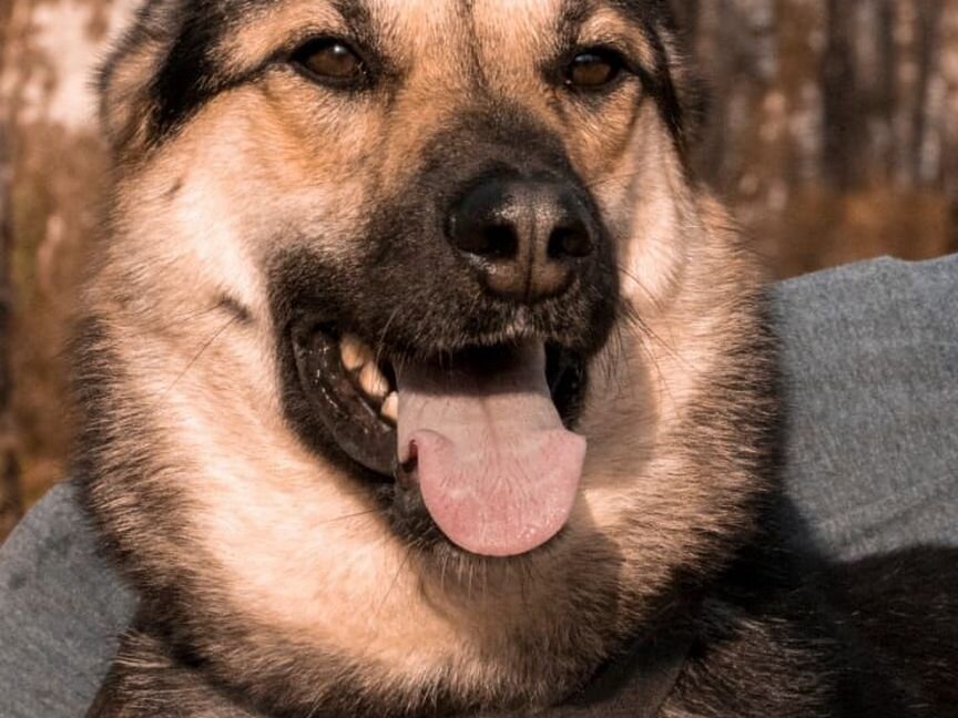 Молоденькая Джейна ищет дом