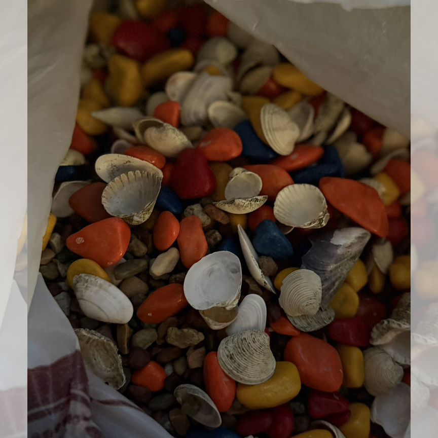 Камни ракушки для аквариума