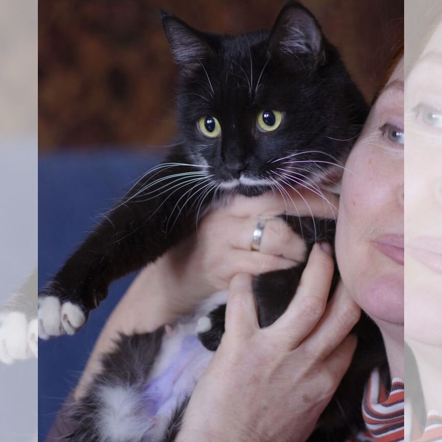 Домашняя умная Анжелина 8 мес,стерил.в семью