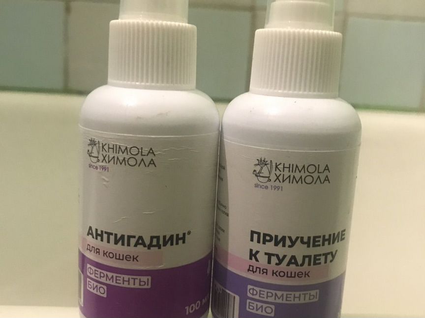 Антигадин и приучение к лотку