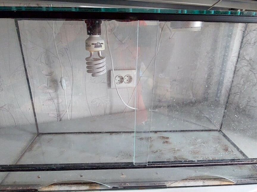 Террариум для рептилий