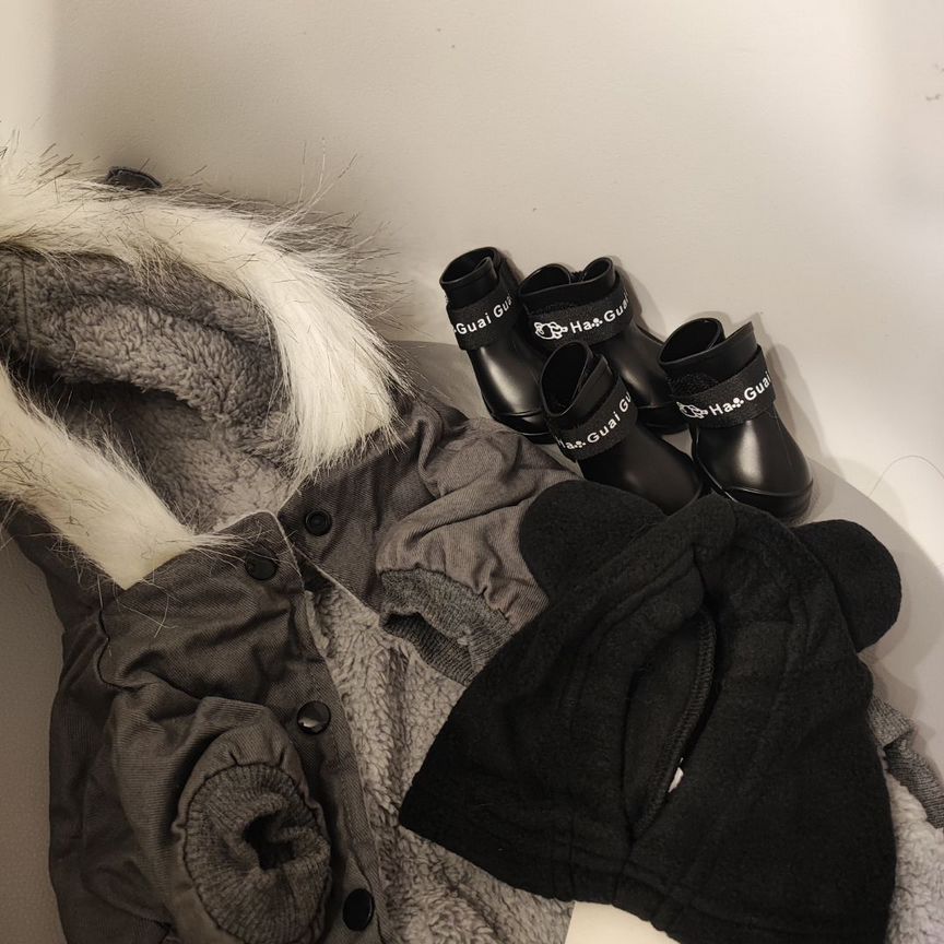 Одежда для маленьких собак