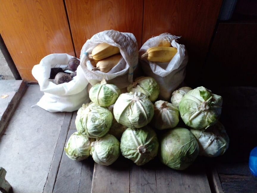 Продам овощи для скотины