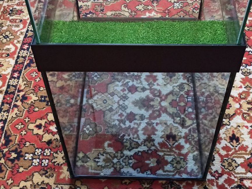 Аквариум для красноухой черепахи