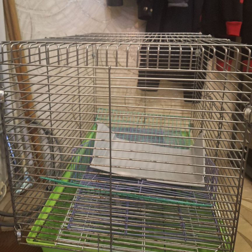 Клетка для белки дегу бу