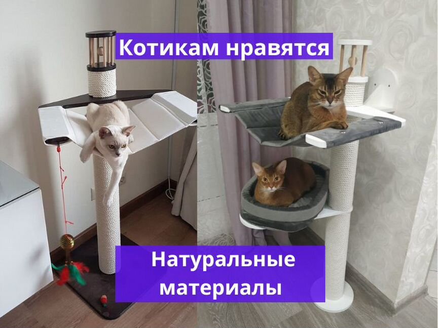 Когтеточка