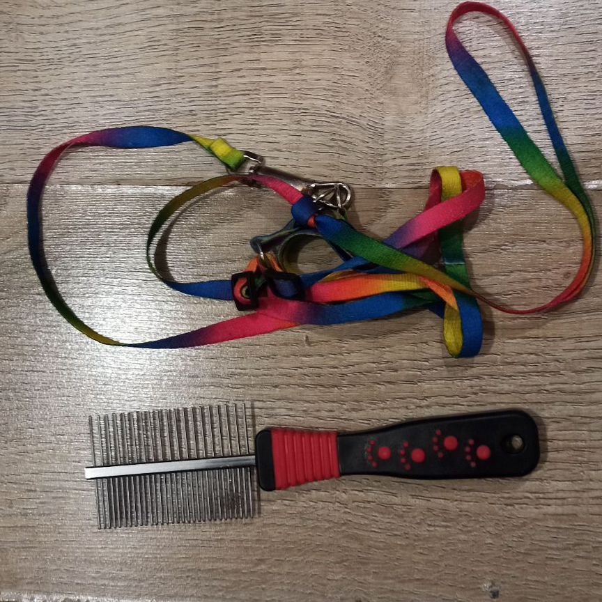 Щётка и шлейка для домашнего питомца