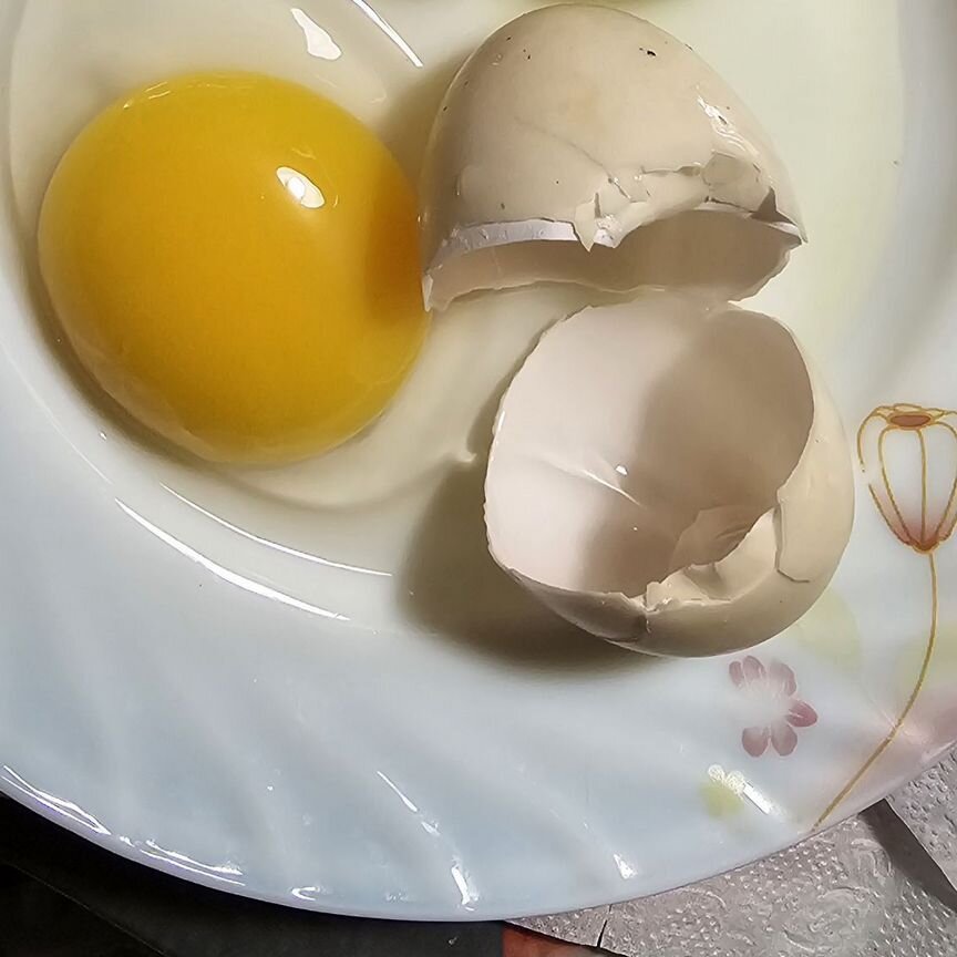 Утиное яйцо