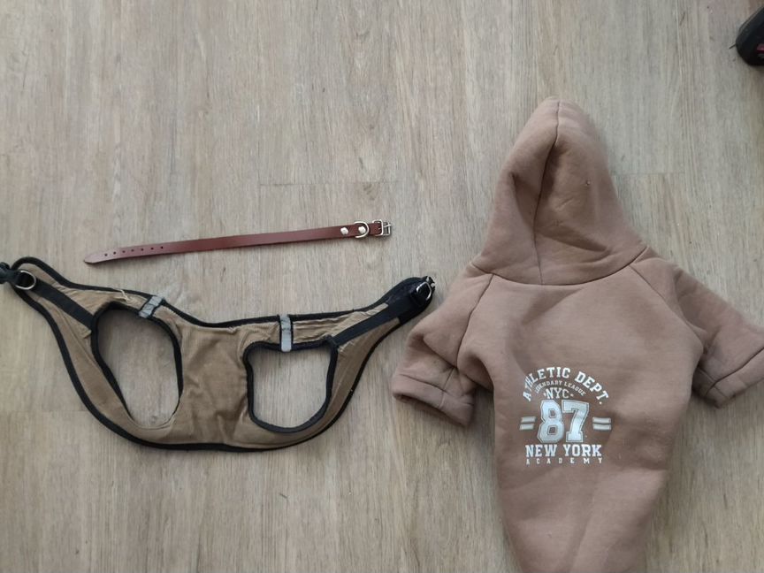 Кофта, шлейка и ошейник для щенка фр. бульдога