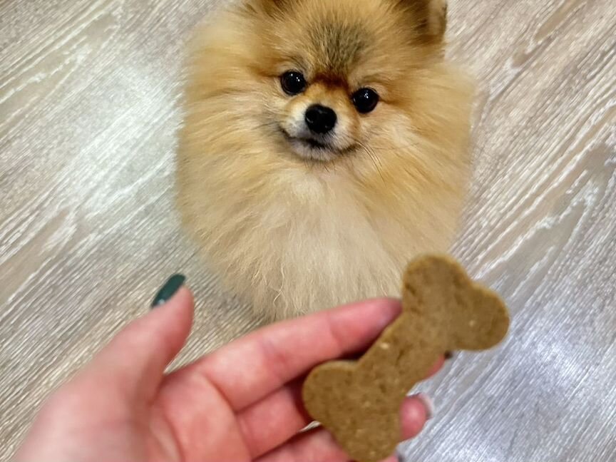 Печенье для собак