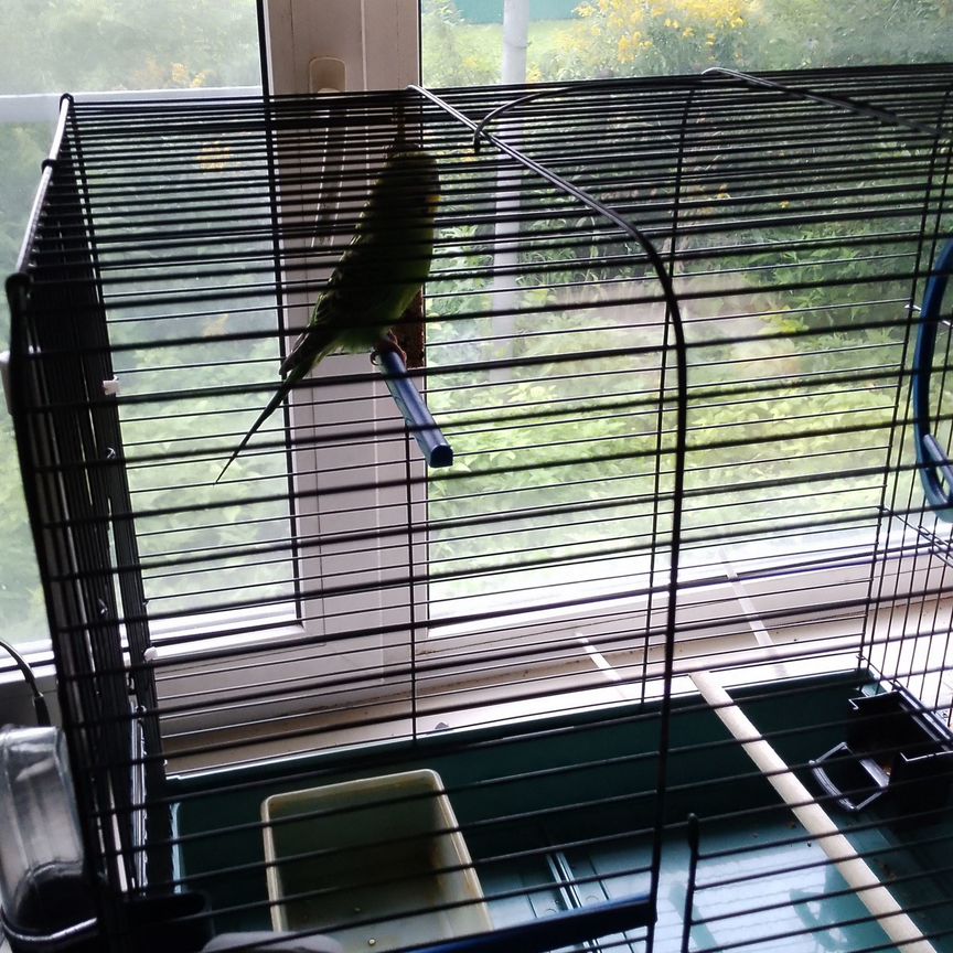 Продается клетка