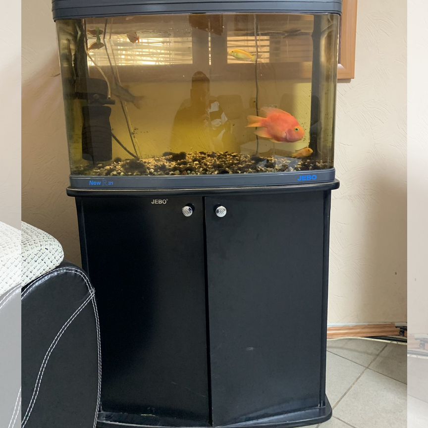 Аквариум с рыбами и тумбой