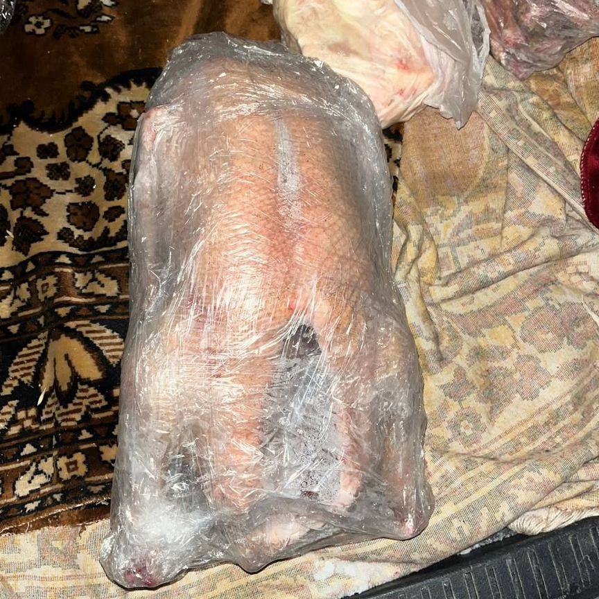 Продажа гусей в Шарыпово