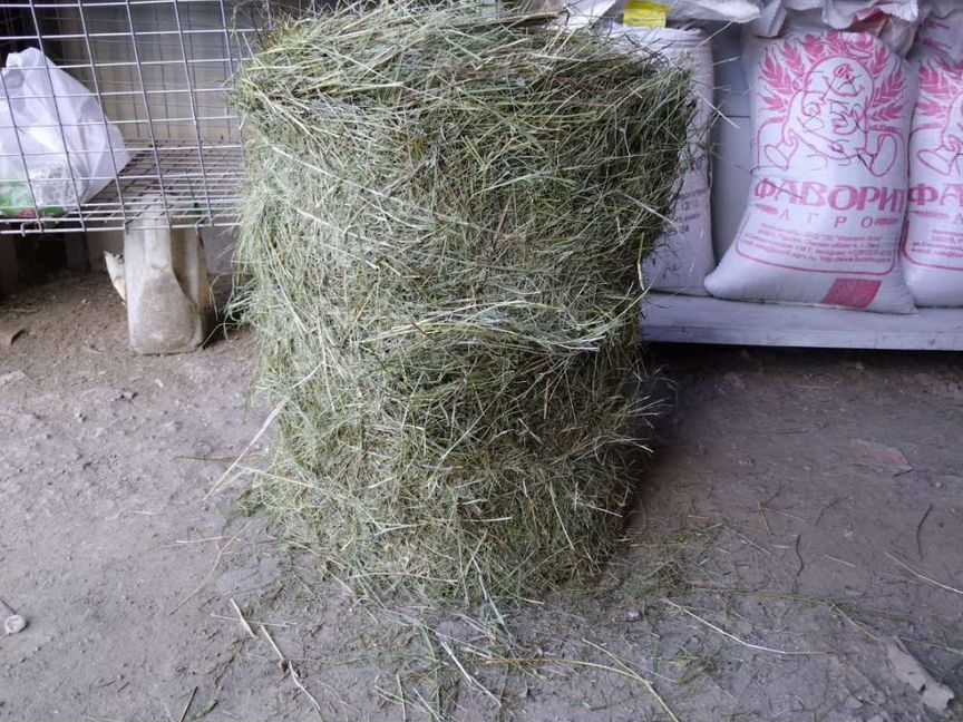 Сено в тюках 2022