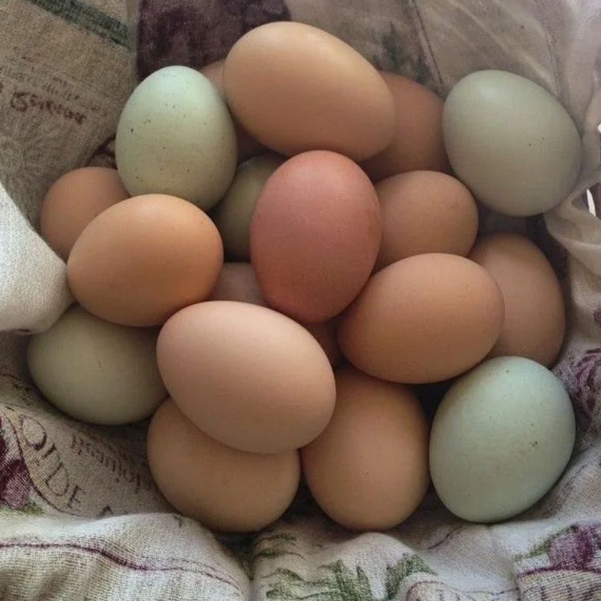 Деревенские яйца