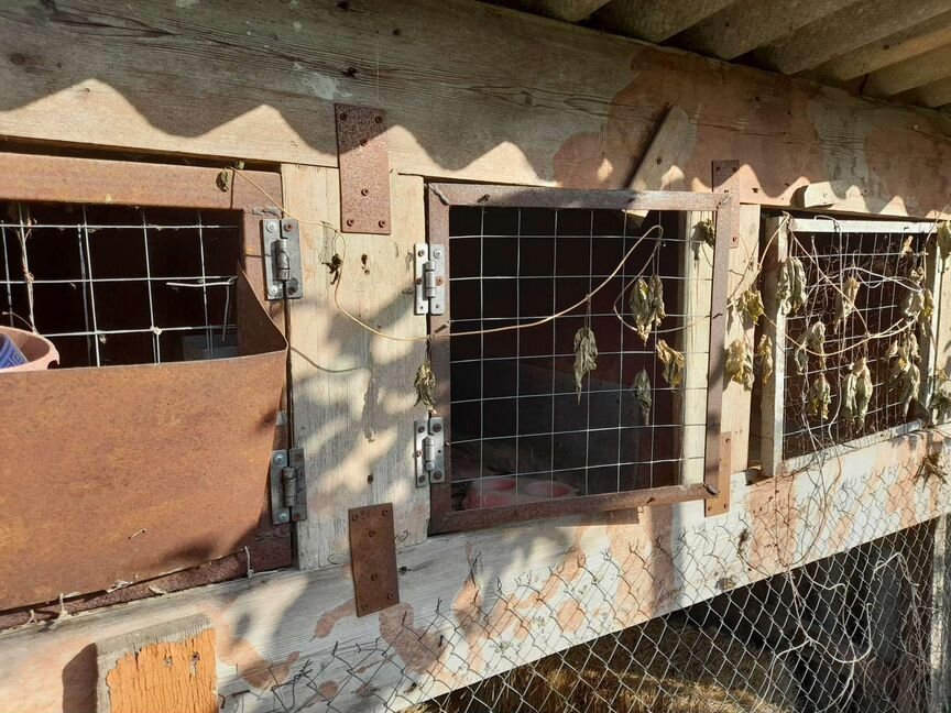 Клетки для кроликов