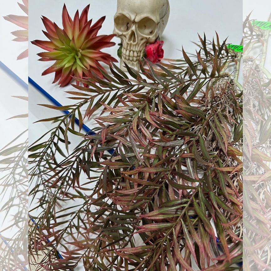 Декор для террариума