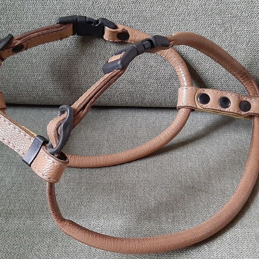 Шлейка круглая для собаки