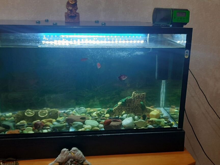 Аквариум с тумбой 135л