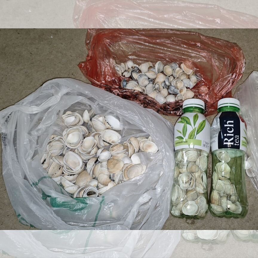 Морские ракушки пакетом