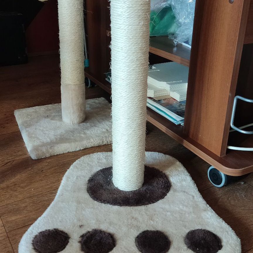 Когтеточка