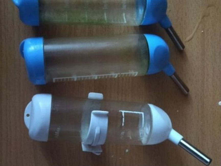 Поильники для грызунов