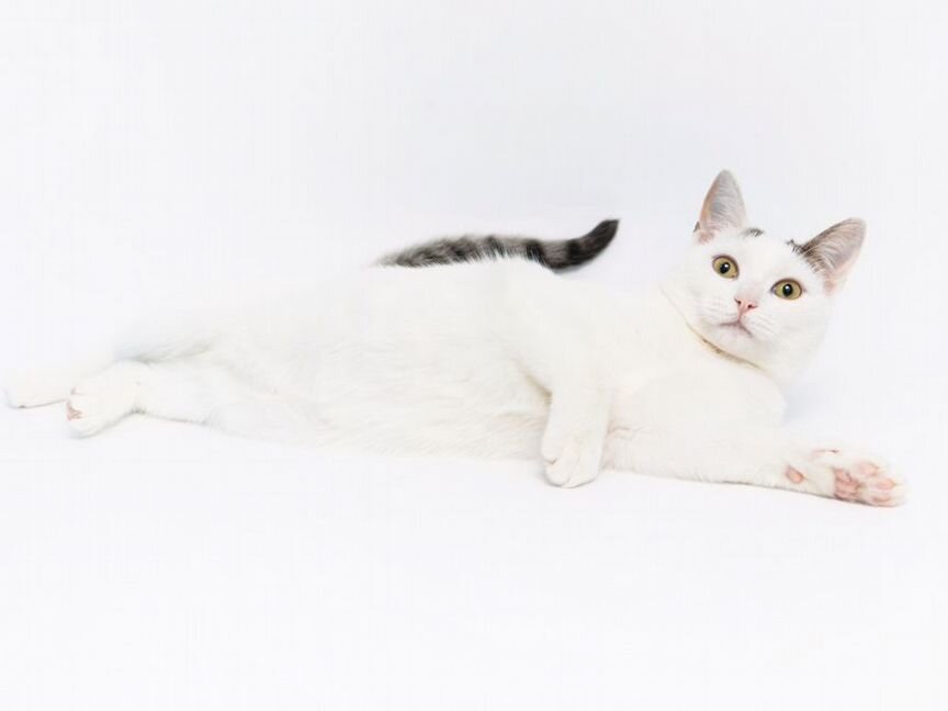 Исключительно для шикарной жизни