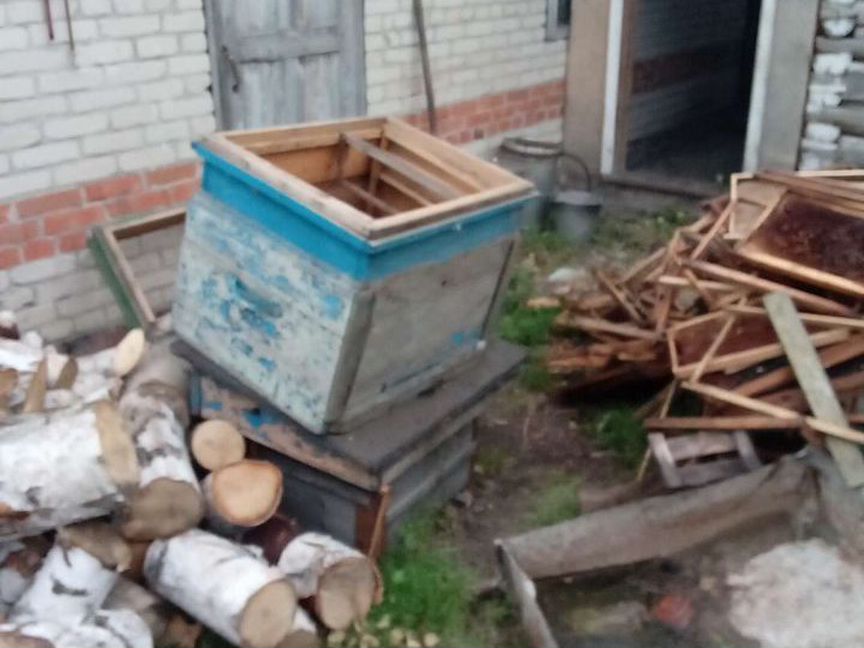 Пчелиные улья